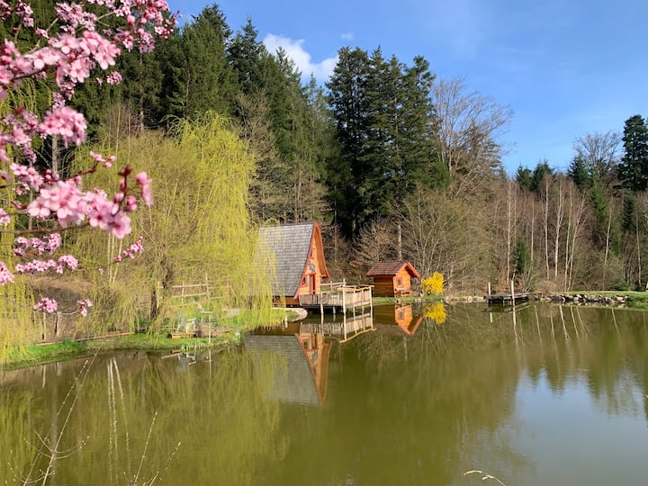 Cabane Karabosse - Saint-Dié-des-Vosges