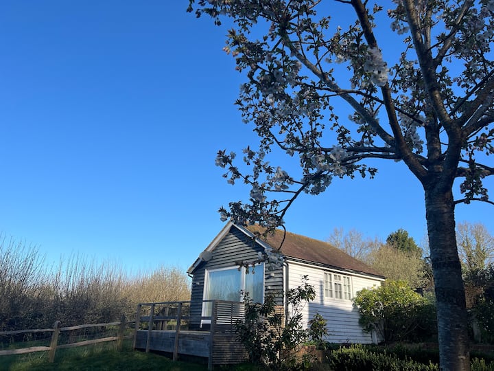 Orchard View Studio - Cranbrook