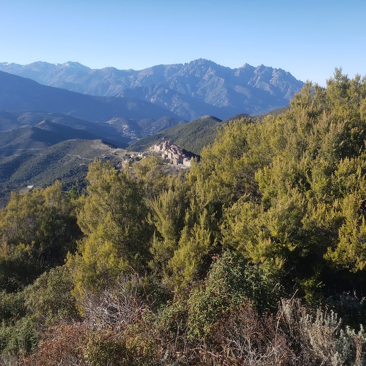 Loue Appartement Dans Maison De Village - Corte