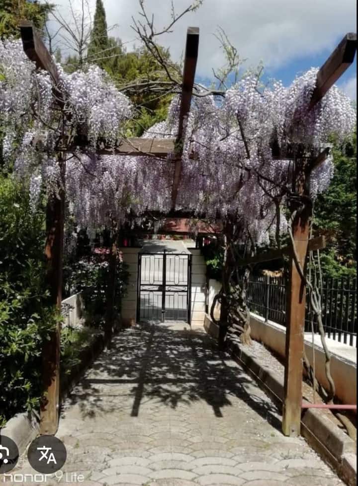 Monolocale Mansardato - San Giovanni Rotondo