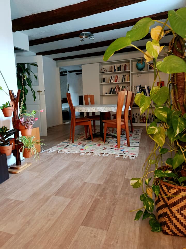 Logement Route Des Vins - Rouffach