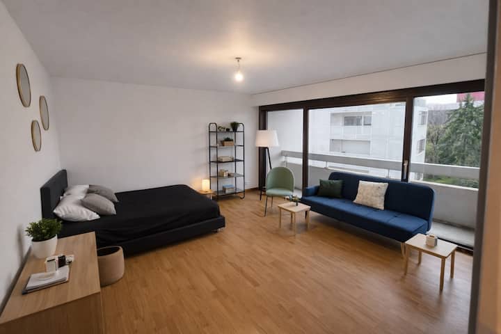 Appartement Meublé éQuipé Annemasse, Proche Centre - Annemasse