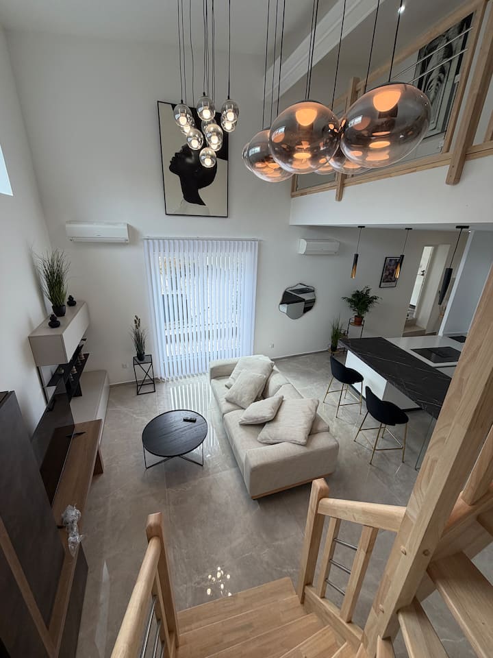 Appartement Style Loft Disposant D’une Terrasse. - Douai