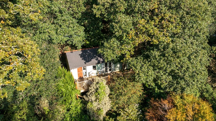 The Cabin At Wrinklers Wood - St Agnes