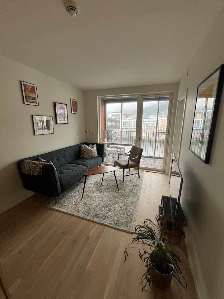 Fin Og Romslig Leilighet For 1 Til 4 Personer - Bergen