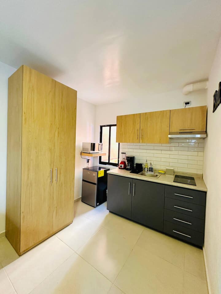 Loft Nuevo En Zona Centro Aguascalientes - Loft 7 - Aguascalientes