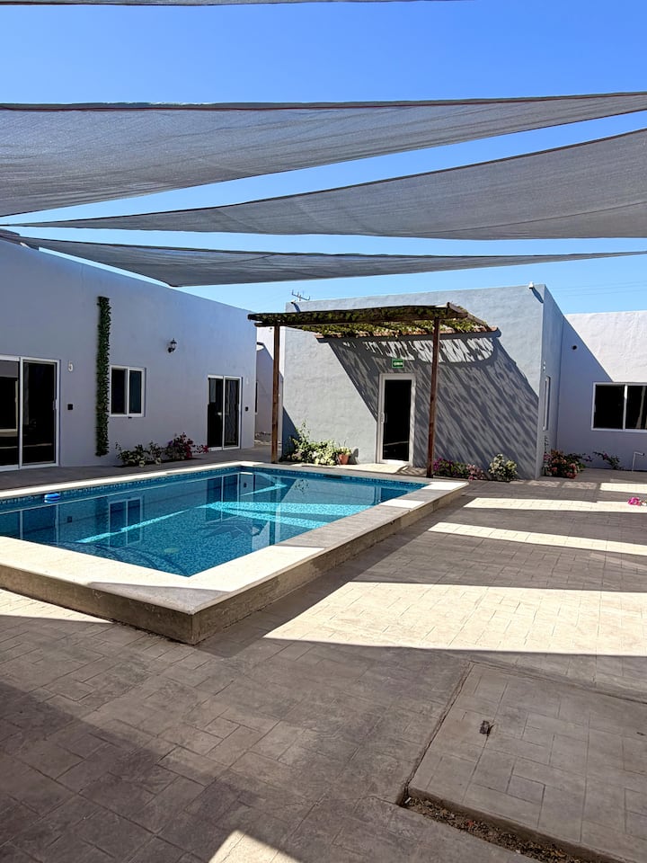 Agave Tapatio #7 - Loreto