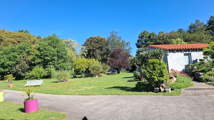 Amoureux De La Nature - Céret