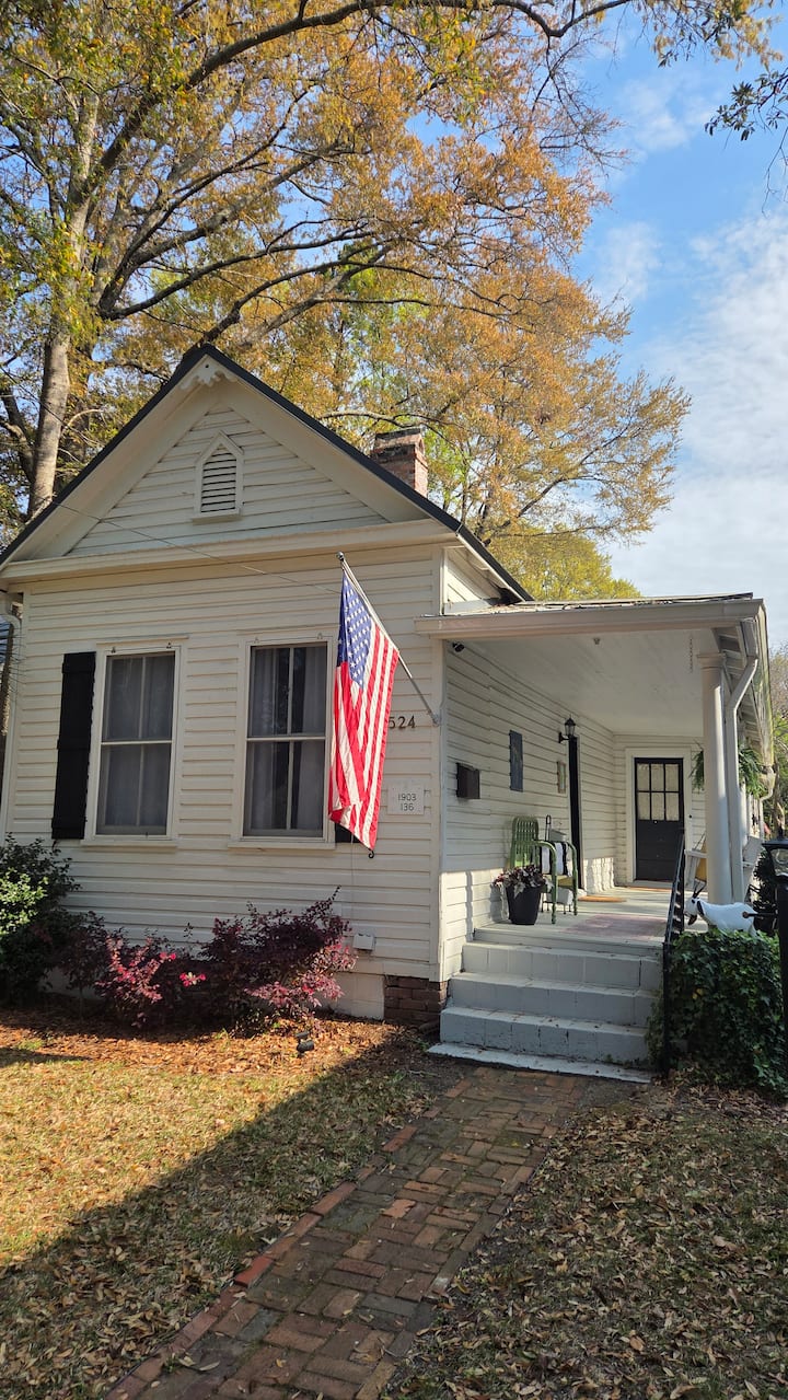 Historic Shotgun House - Georgetown, SC