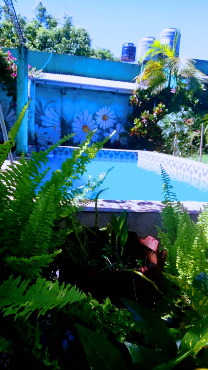 Alojamiento Taty - Montecarlo