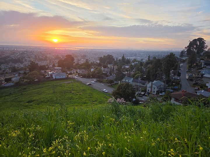 Quite Garden Level Studio On Oakland Hill! - San Leandro, CA