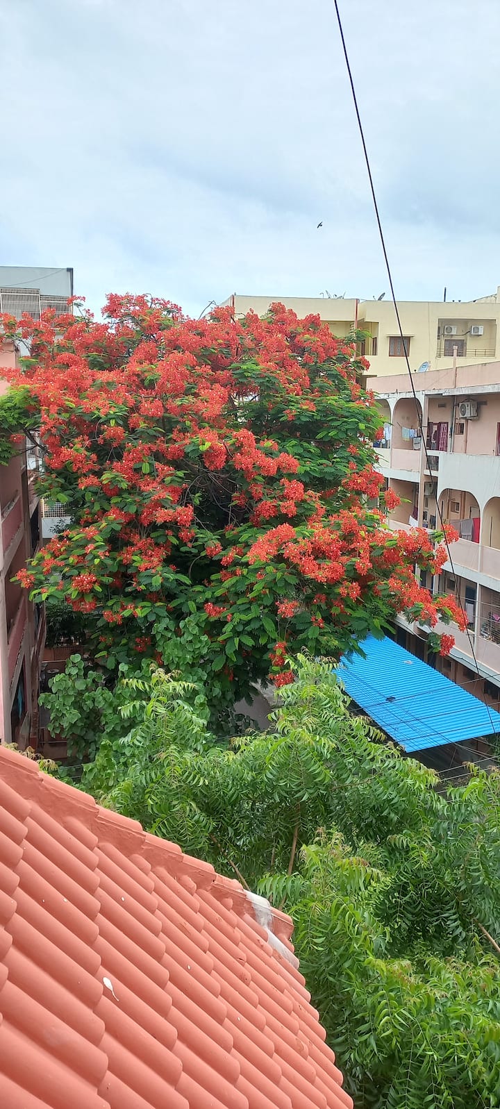 Penthouse Terrace Bedroom - Vijayawada