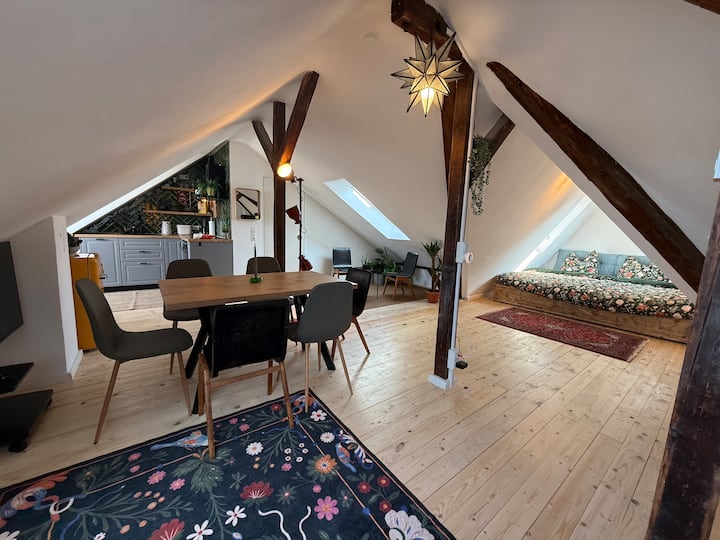 Offene Dg Wohnung Mit Grosser Dachterasse - Hildesheim