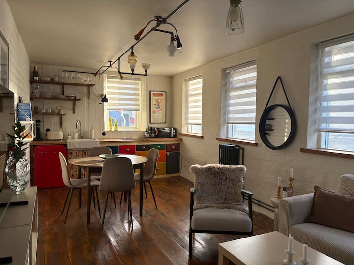 Cozy Apartment In The City Centre - Reykjavik