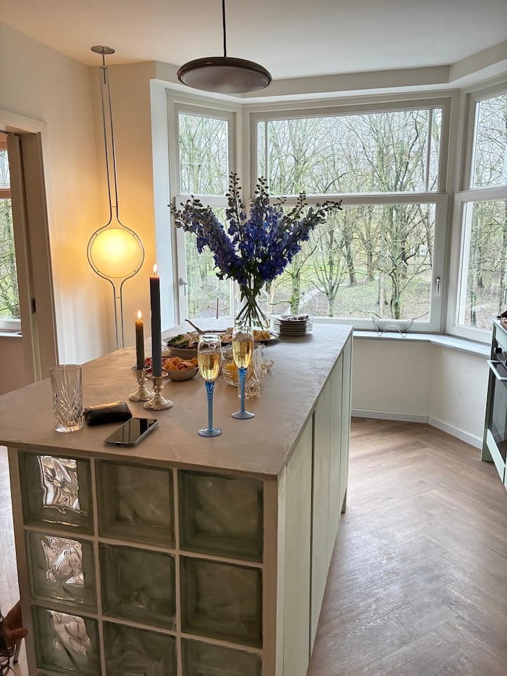 Stylish Apartment With Park View Amsterdam West - Amsterdam