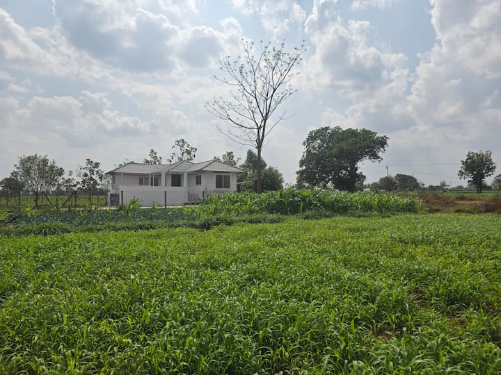 It's All Farmland
Nature And Beauty Calm Privacy - Belagavi