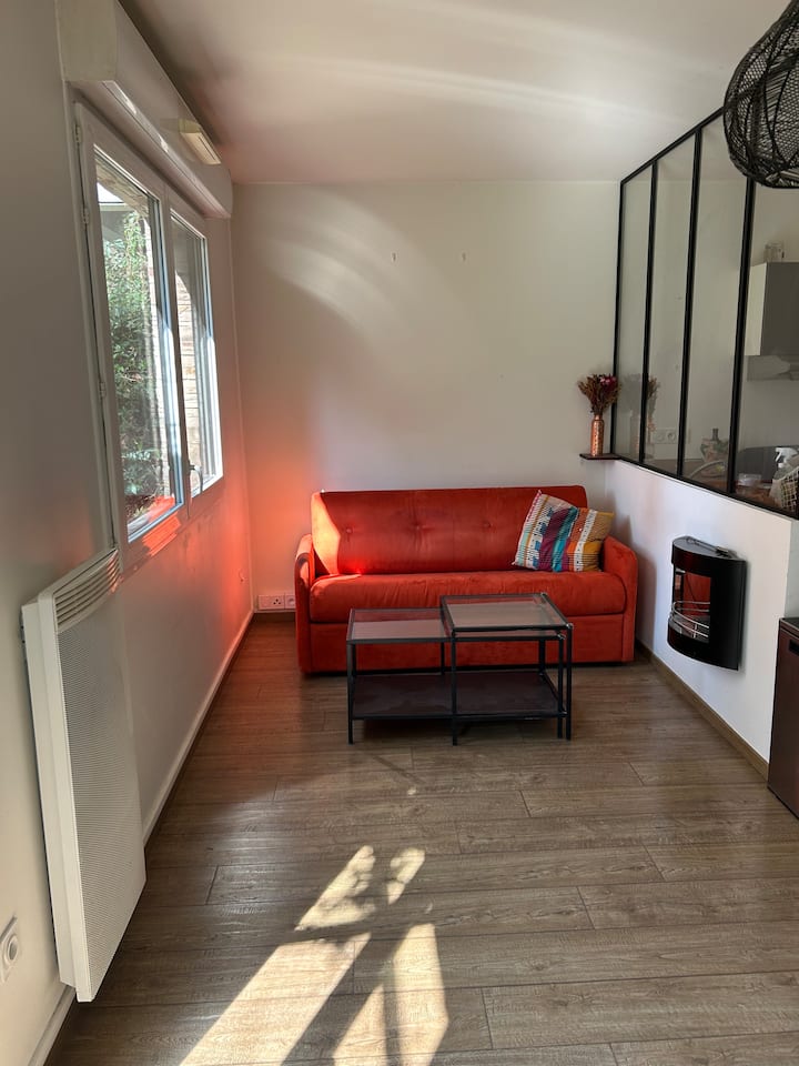 Appartement à 20 Min De La Tour Eiffel - Issy-les-Moulineaux