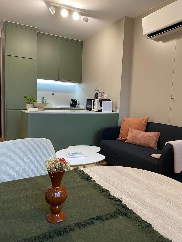 Casa Das Andorinhas - Esposende - Esposende