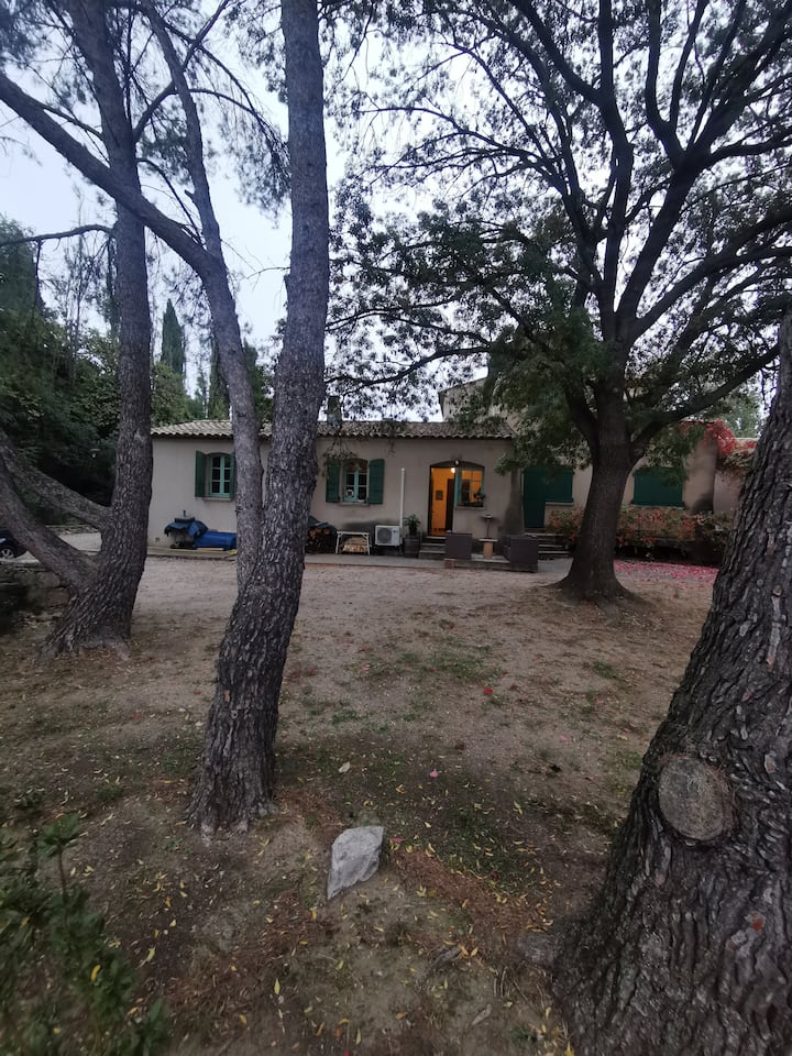 Douceur De Vivre - Montpellier