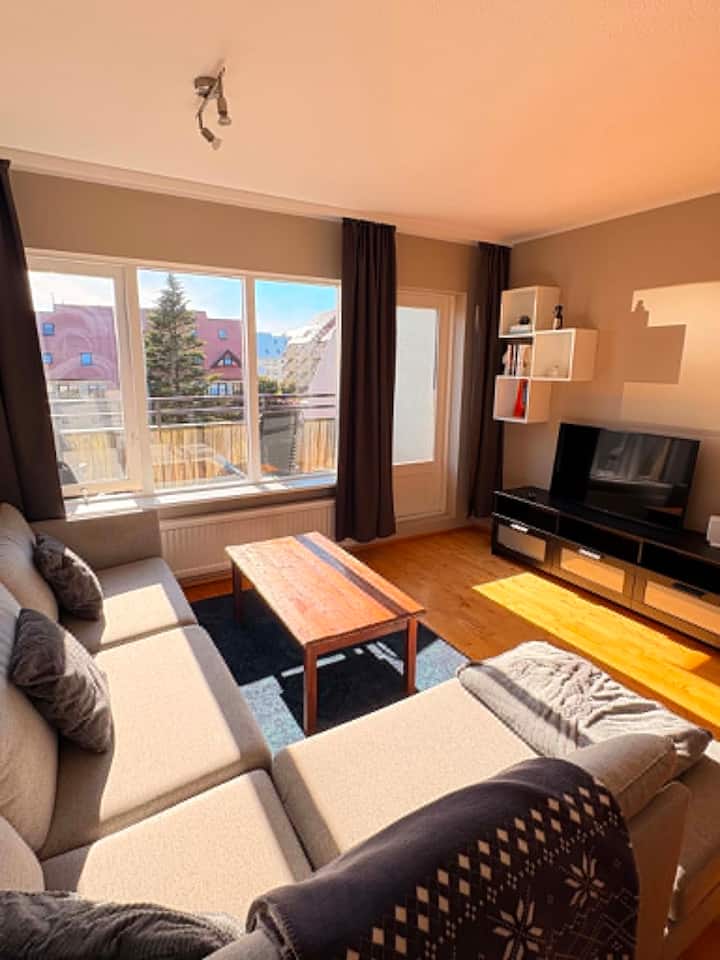 Bright And Spacious Apartment In Reykjavík - Reikiavik