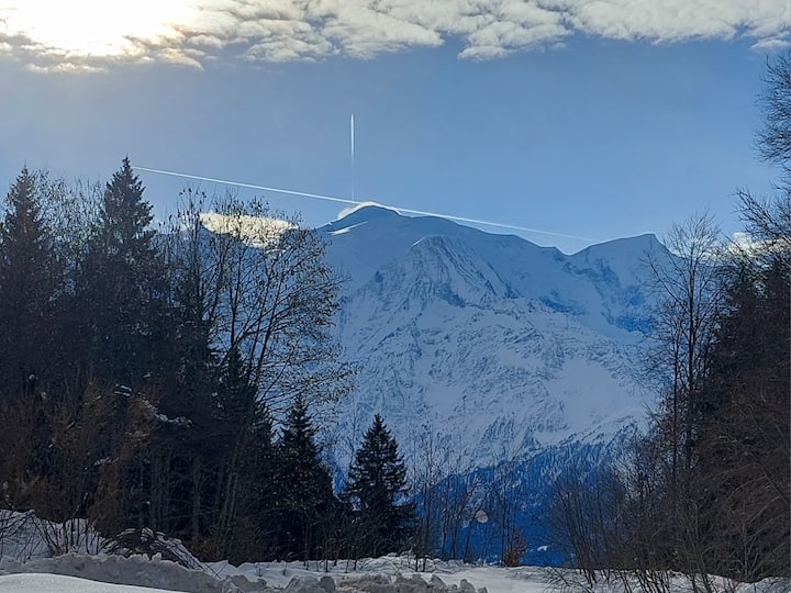 Logement Passy Plaine Joux Haute Savoie - Passy