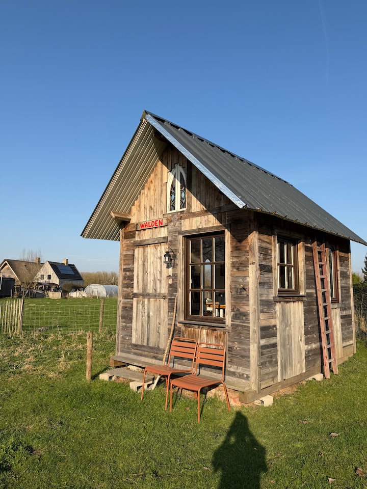 Natuurhuisje Walden - Alken
