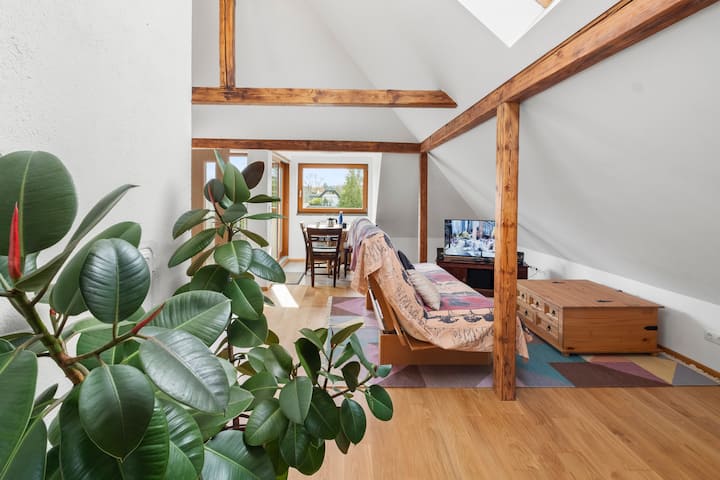 El Nido – Stilvolle Dachwohnung Mit Aussicht - Bonn