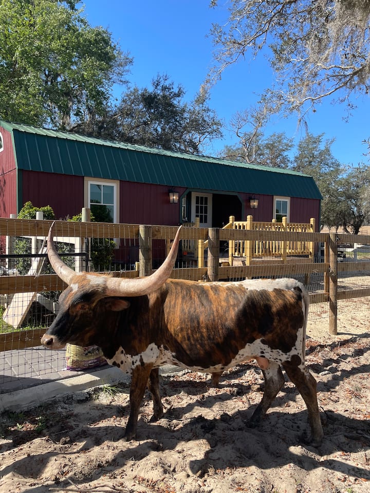 Farm Stay Getaway In A Cozy Tiny House. - Sebring, FL