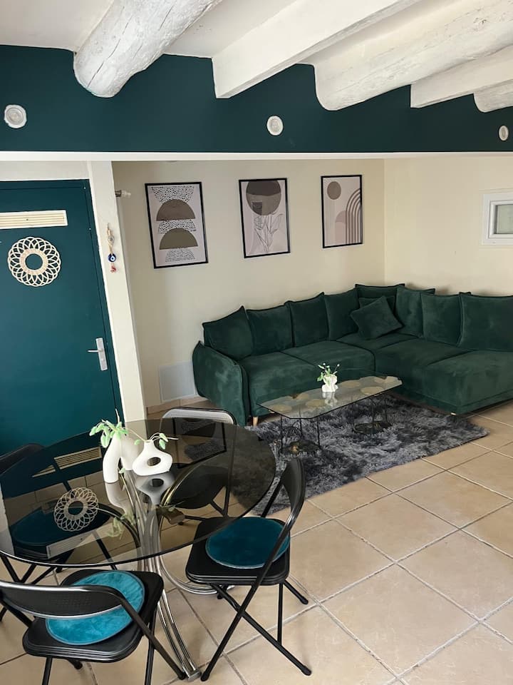 Appartement Centre, Proche Arène Et Château. - Aigues-Mortes