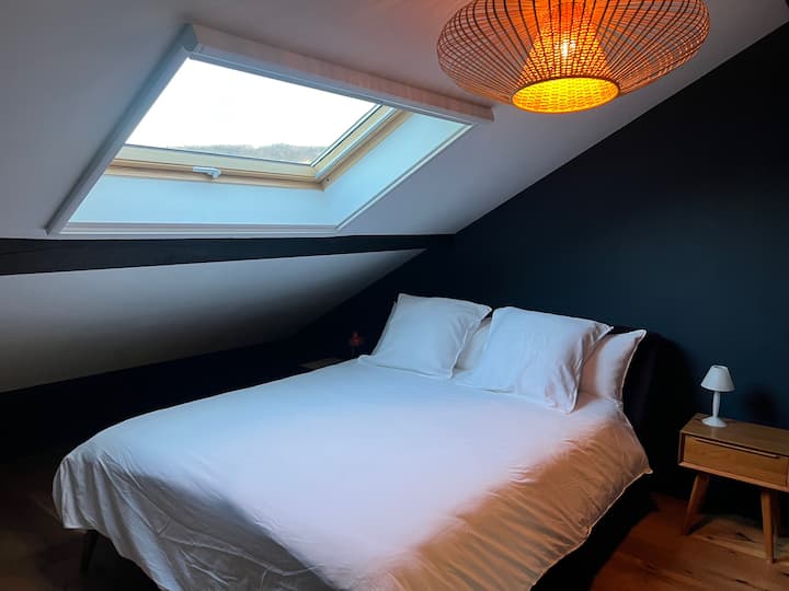 Chambre Calme/sdb Et Wc Privés/parking/vélos - Annecy