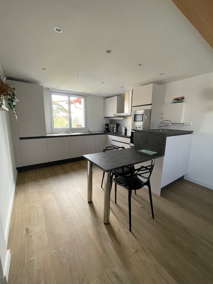 Appartement T2 Meublé Avec Vue Sur Les Pyrénées - Cambo-les-Bains