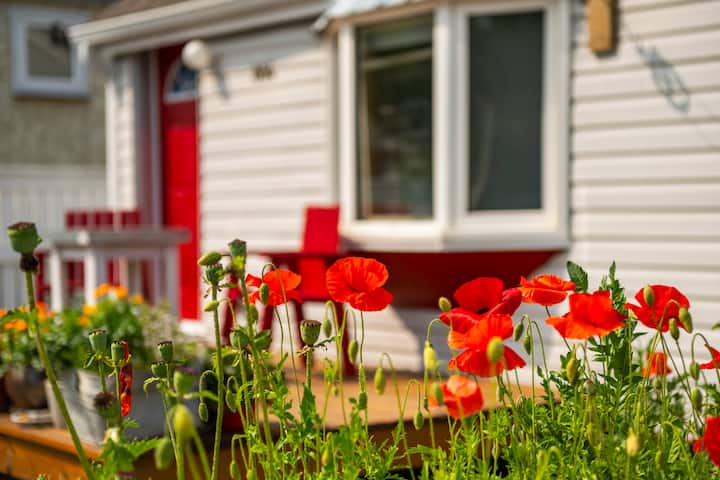 Downtown Gem - Yukon