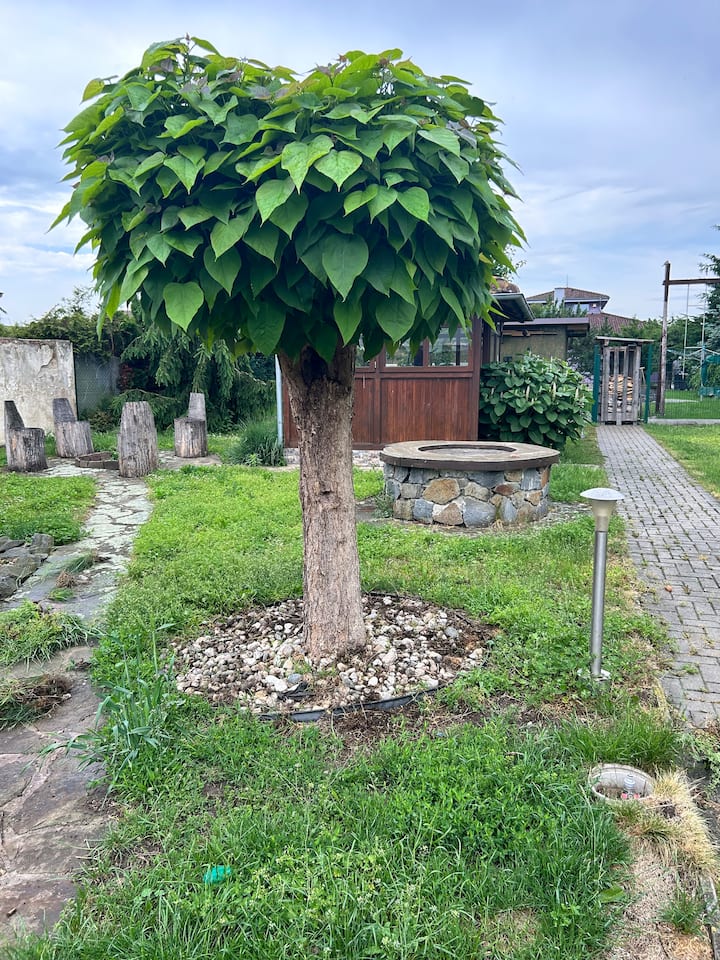 Maison Avec Jardin, Terrasse Couverte - Czechy