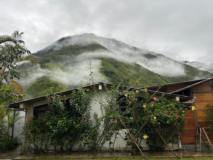Cabañas Oxabamboo - Oxapampa