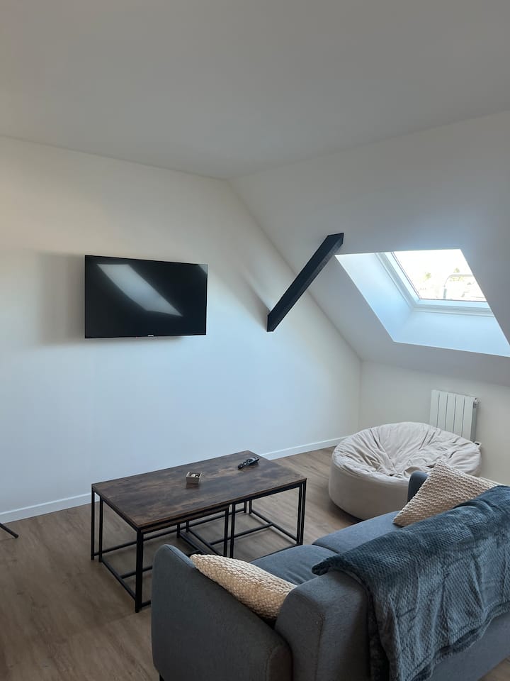 Face Aux Terrils Jumeaux - Lens, France