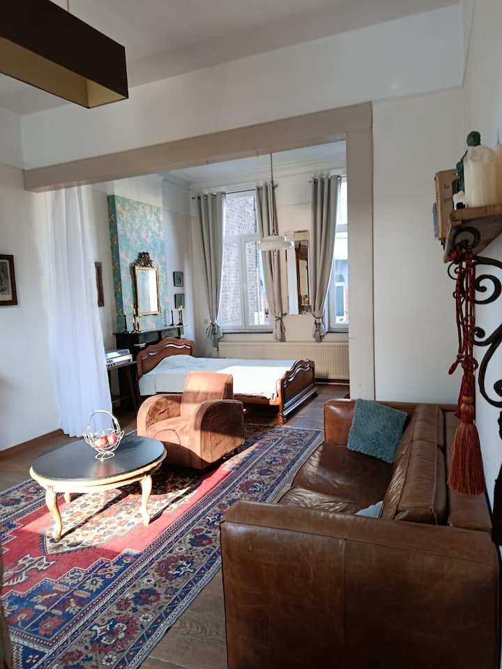 Spacieuse Chambre Dans Une Belle Maison De Maitre - Huy