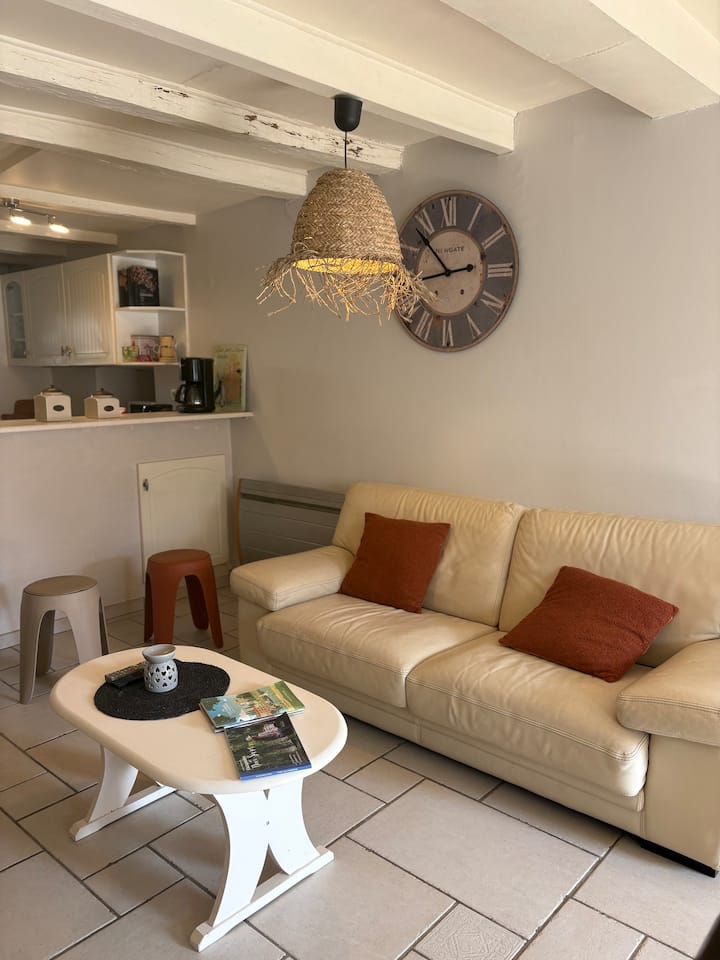 Maison Atypique En Bord De Sèvre " Aux Quais 78 " - Coulon