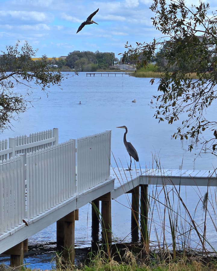 Ski In/ski Out Lake Home W/ Fenced Backyard - Winter Haven