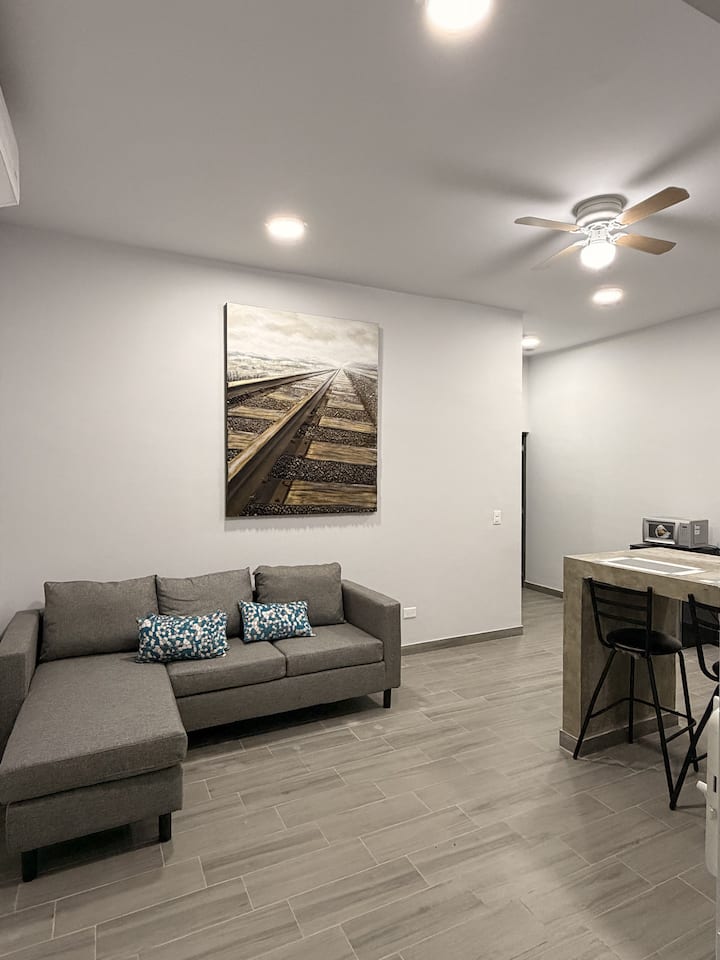 Agave Noble #5 - Loreto