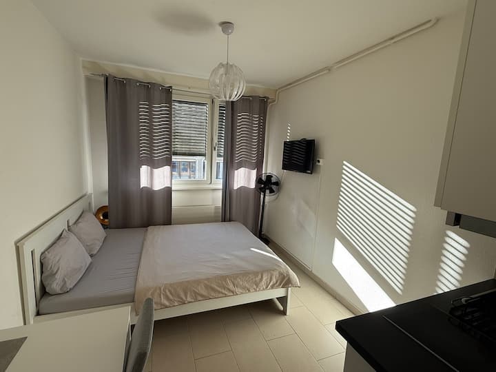 Modern Studio In The Heart Of Geneva - Geneva