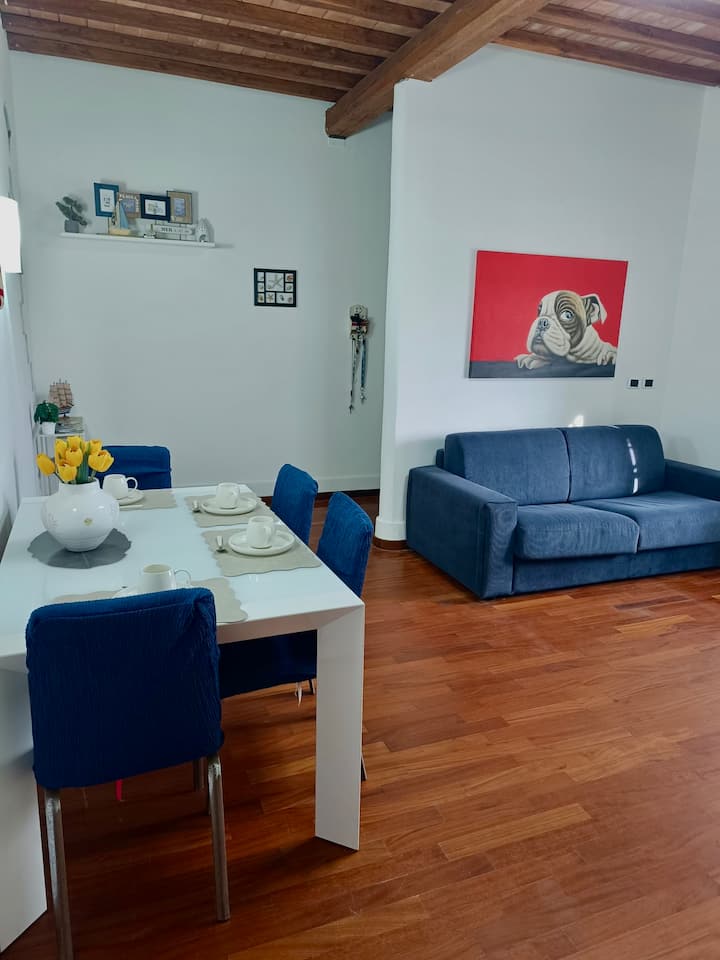 Home Massa - Nettuno