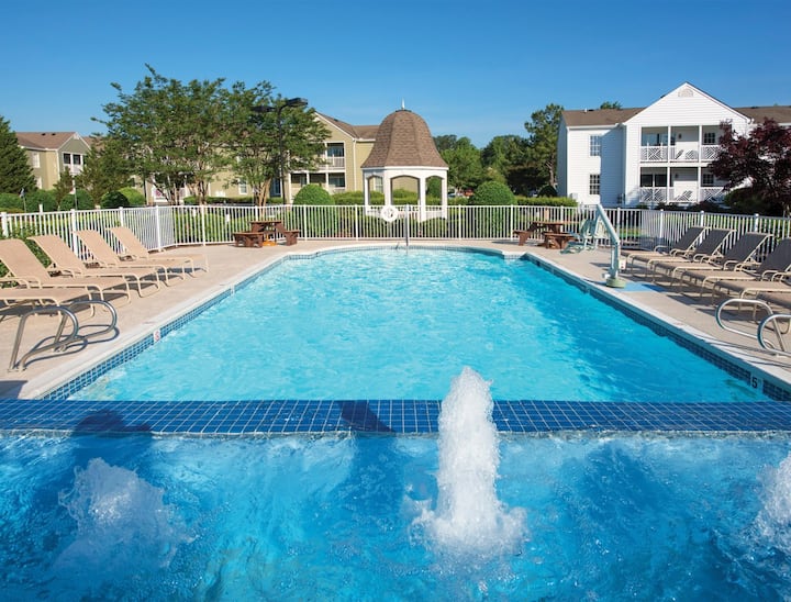 Spacious 1br Suite Near Colonial Williamsburg - Williamsburg, VA