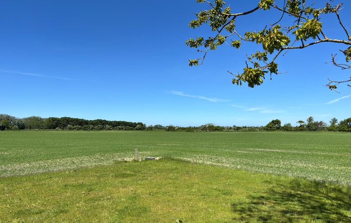 Gorgeous Home In Tarm With Wifi - Nørre Nebel Sogn