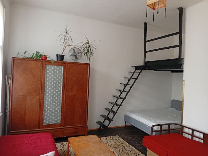 Our Old Home In Zizkov Neighborhood - Prague