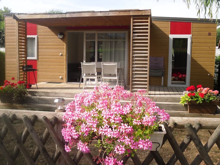 Cottage Confort Au Bord Du Lac Chambon - Lac Chambon