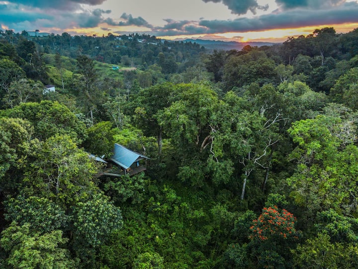Cloud-walk: A Wayanad Tree Hut - Bandipur