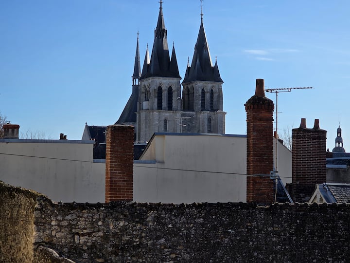 Appartement Le Saint-nicolas - Blois