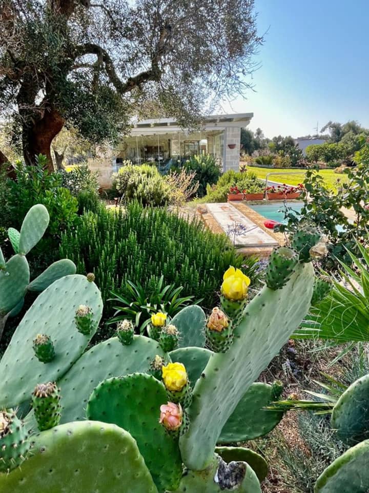 Casa Jane, Appartamento In Villa - Carovigno