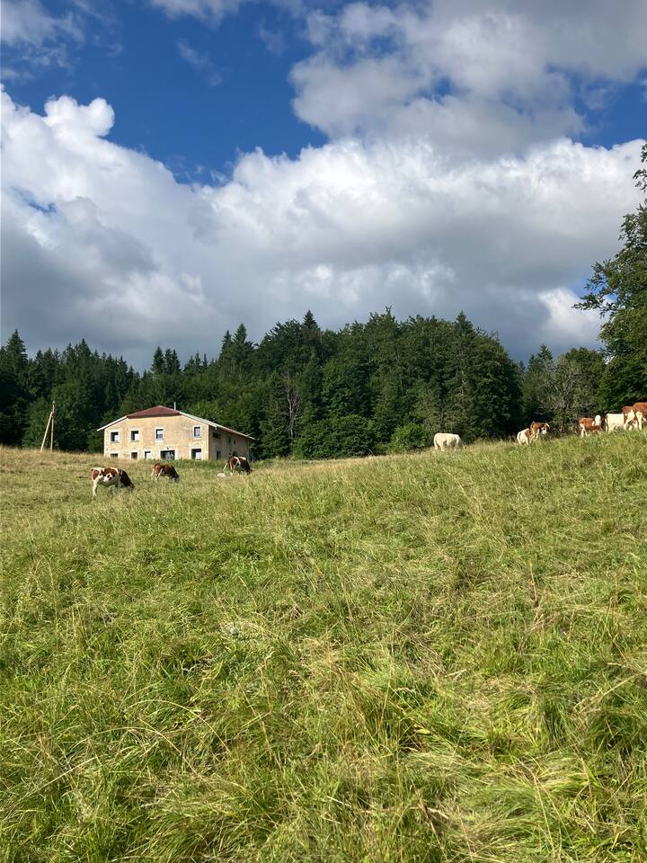 La Bucle - Studio Cosy Pleine Nature Grand Terrain - Les Rousses