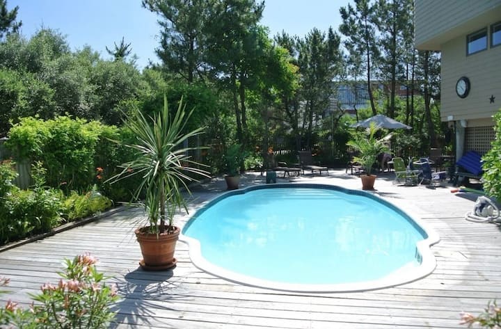 Beautiful Oasis Awaits! Come Stay With Us! - Harvey Cedars, NJ